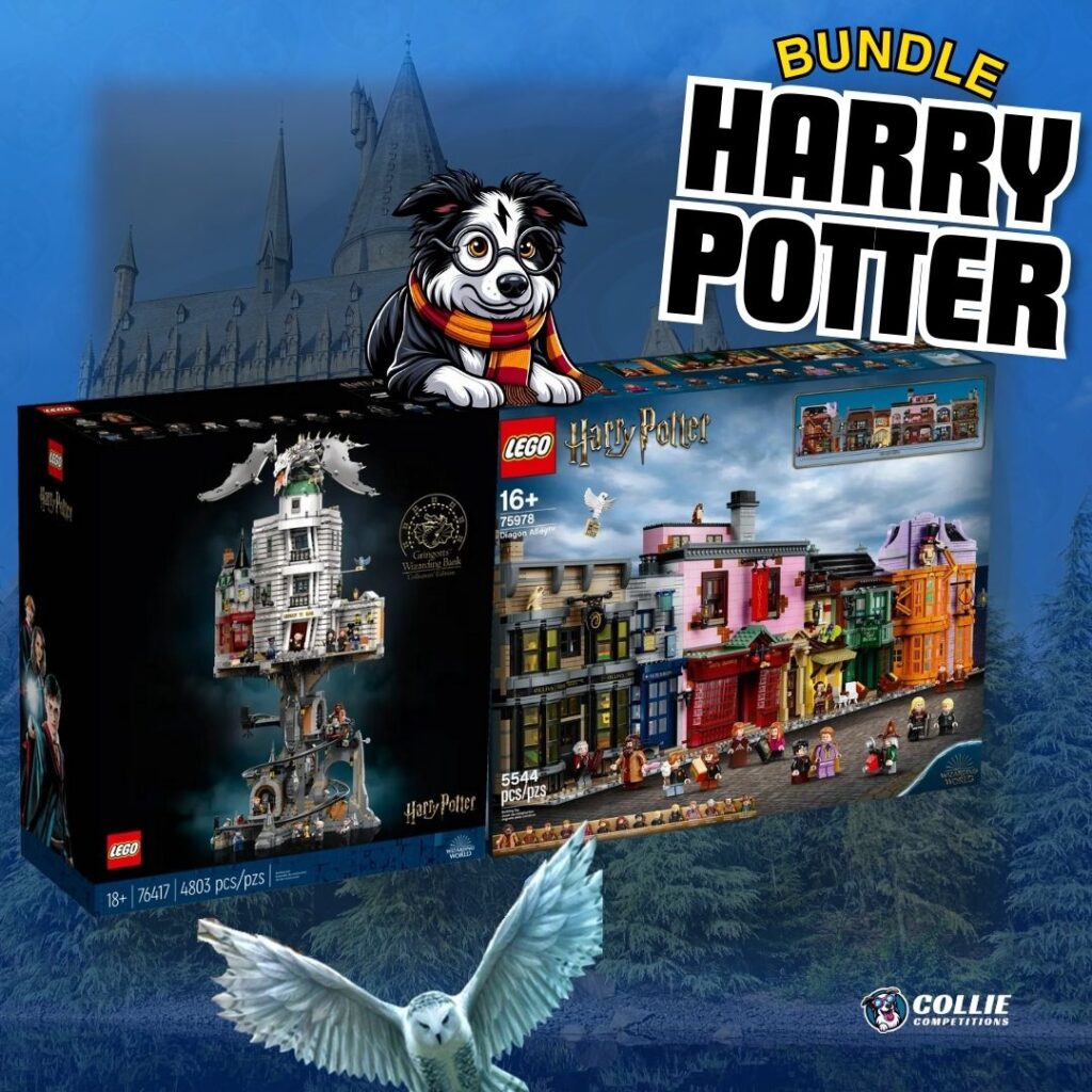 Lego Harry Potter Big Set Bundle #8 | Collie Competitions