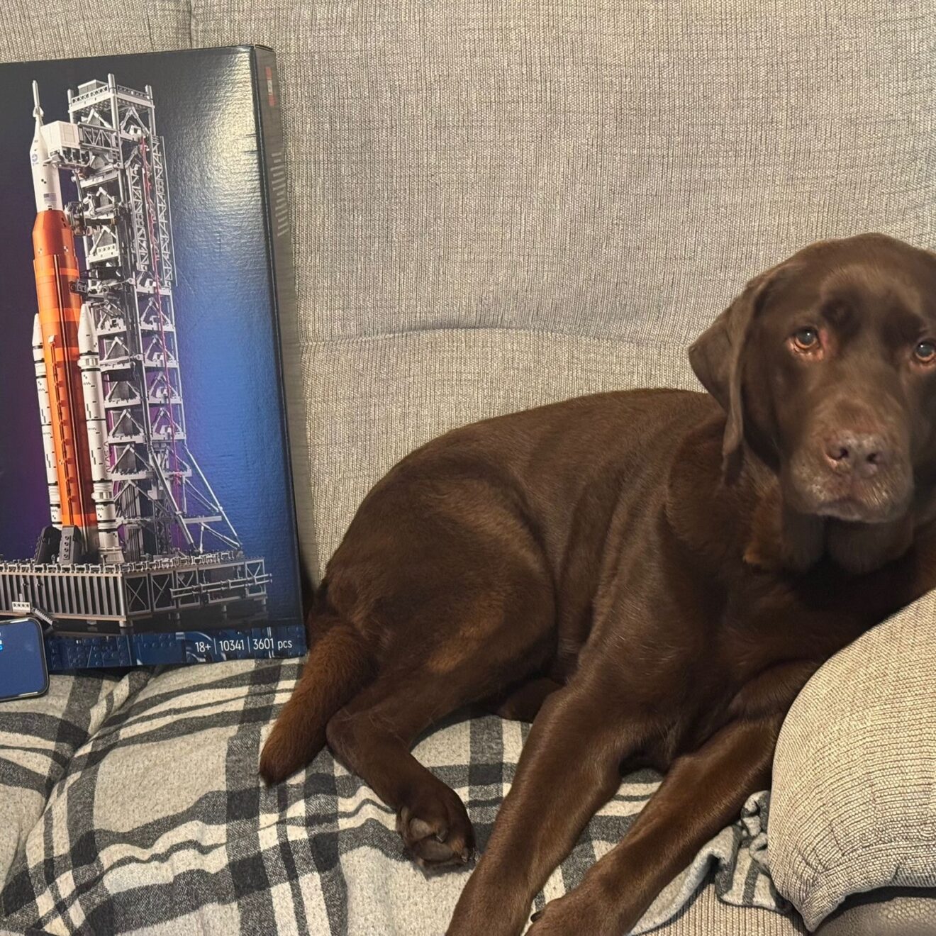 Collie Competitions | The Home of Amazing LEGO Prize Competitions