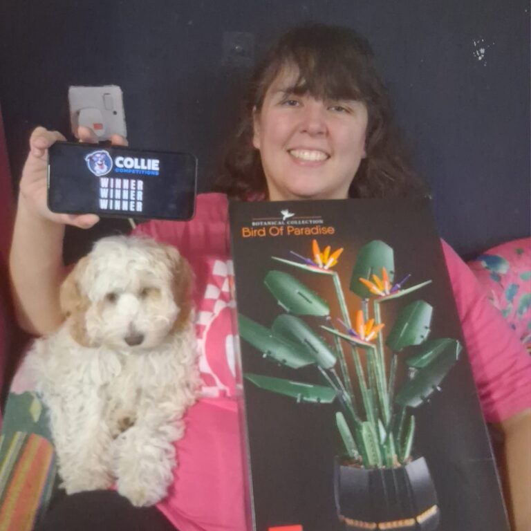 LEGO Prize Competitions - Win LEGO Sets Every Day | Collie Competitions